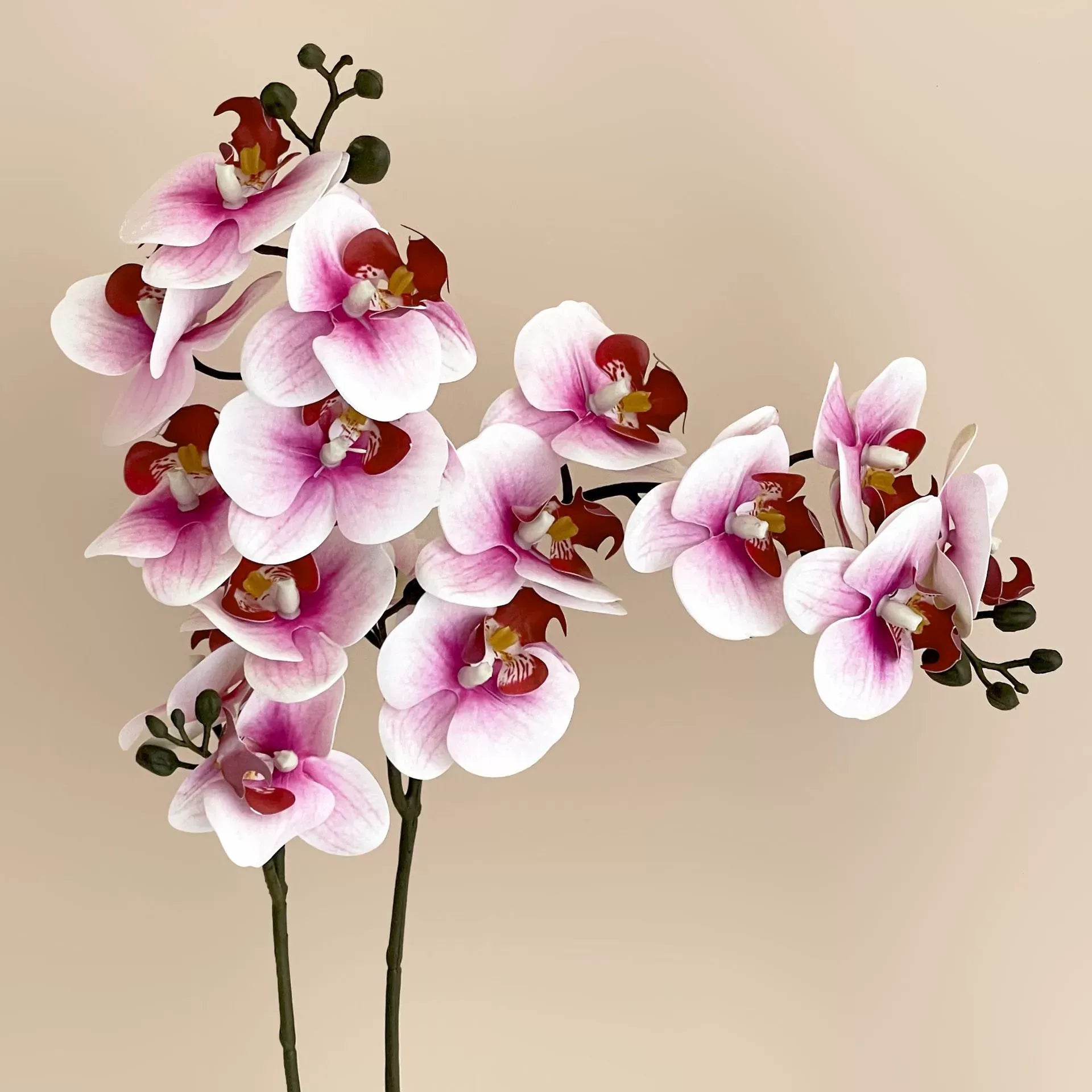 8-Head Artificial Phalaenopsis Orchid – European-Style Home & Wedding ...